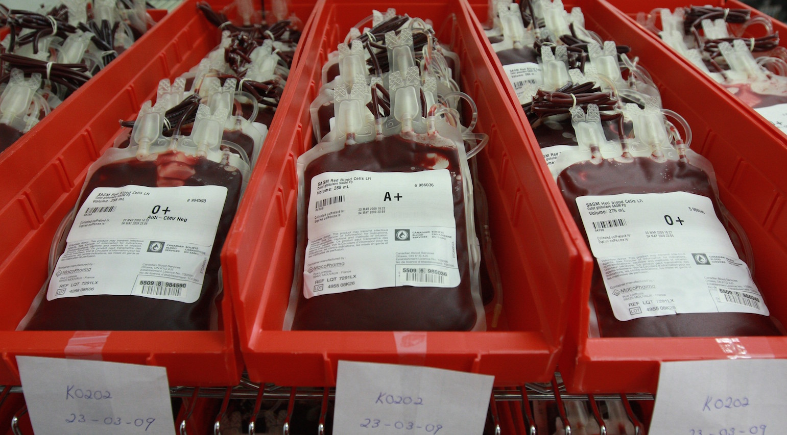 Sigma Bimed | Mengenal Kulkas Blood Bank Refrigerator